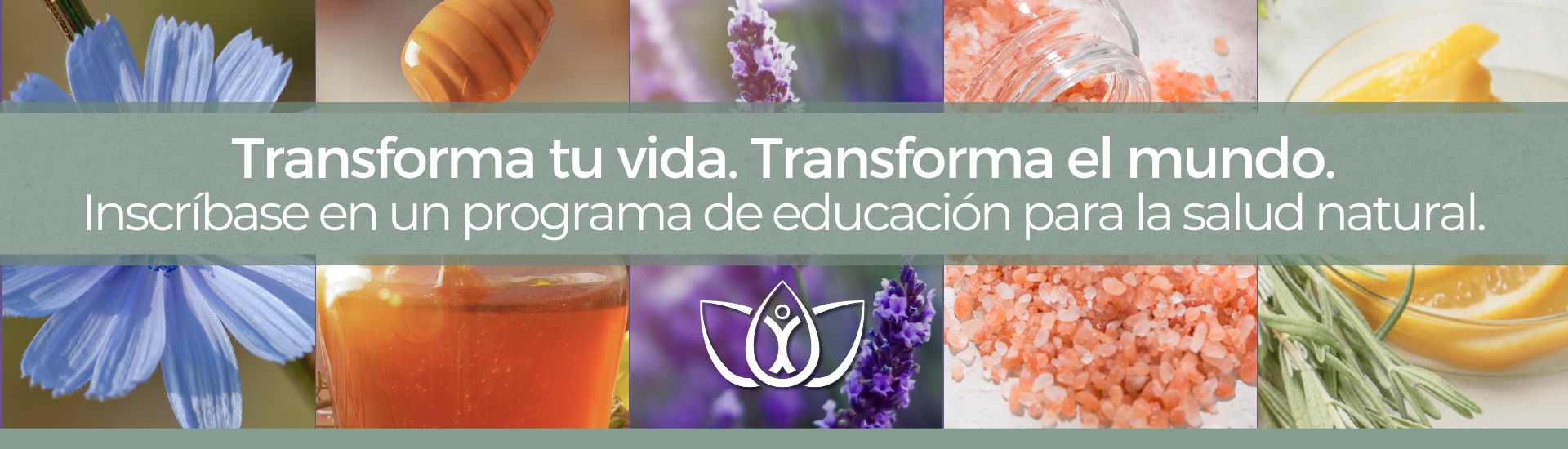 Página de inicio | Trinity School of Natural Health